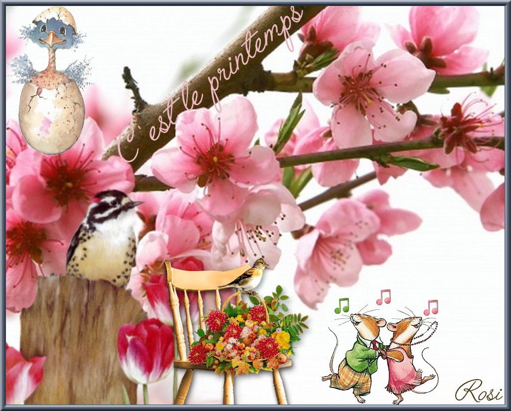 C'EST LE PRINTEMPS
