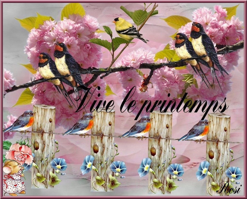 VIVE LE PRINTEMPS