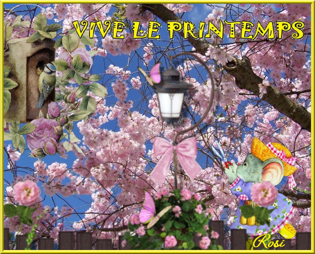 VIVE LE PRINTEMPS