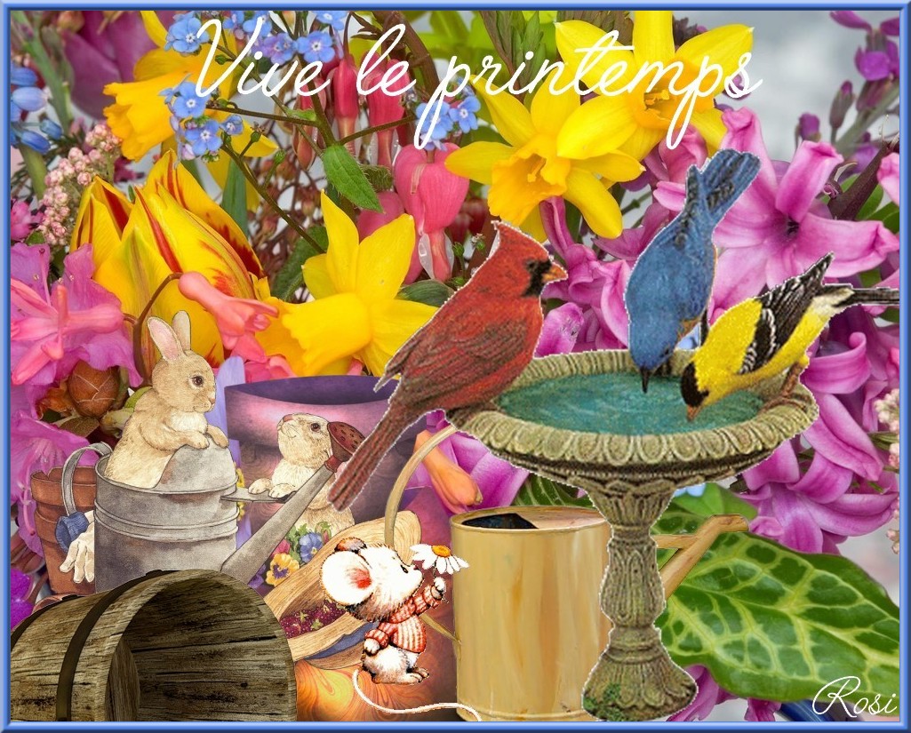 VIVE LE PRINTEMPS
