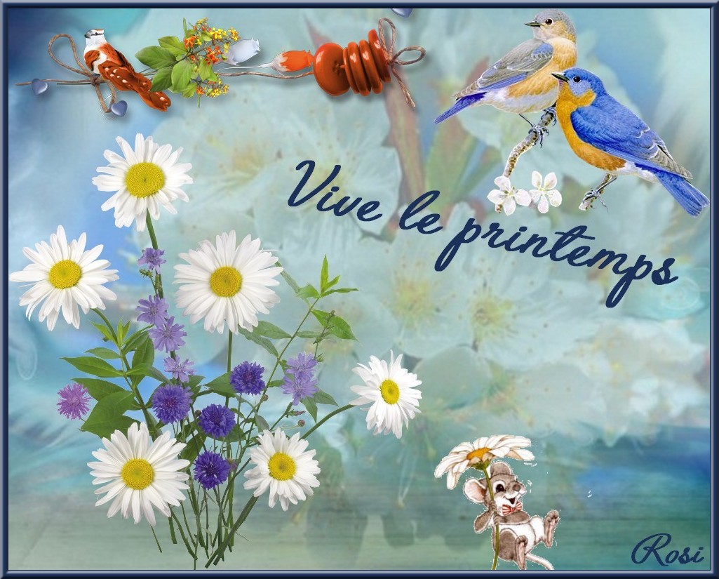 VIVE LE PRINTEMPS