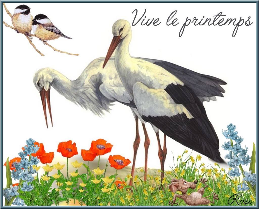 VIVE LE PRINTEMPS