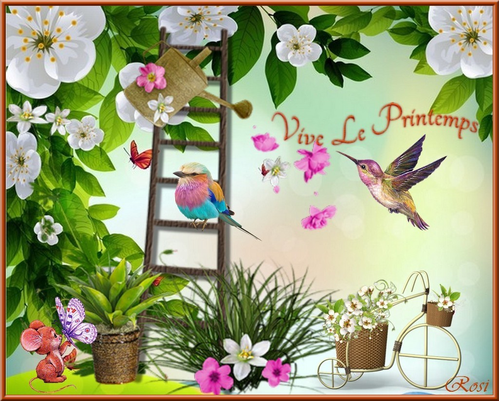 VIVE LE PRINTEMPS