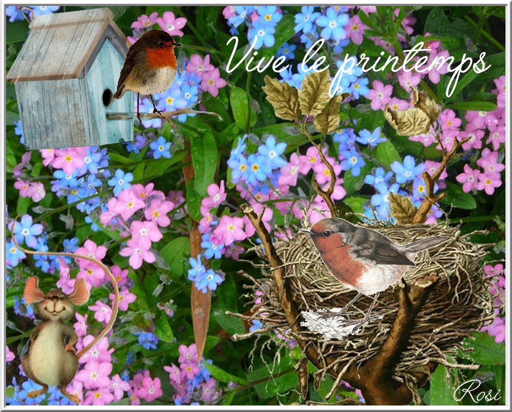 VIVE LE PRINTEMPS