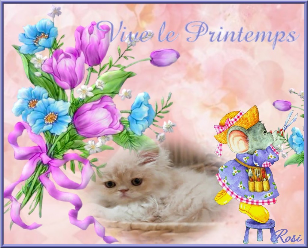 VIVE LE PRINTEMPS